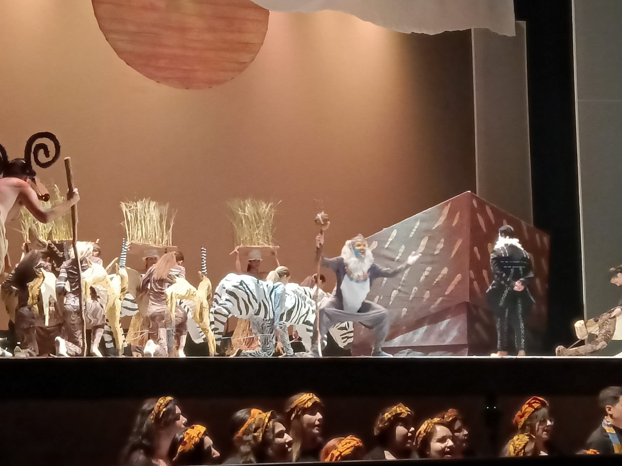 "Il re Leone" da Reggio Calabria a Carpi | Rete del Dono